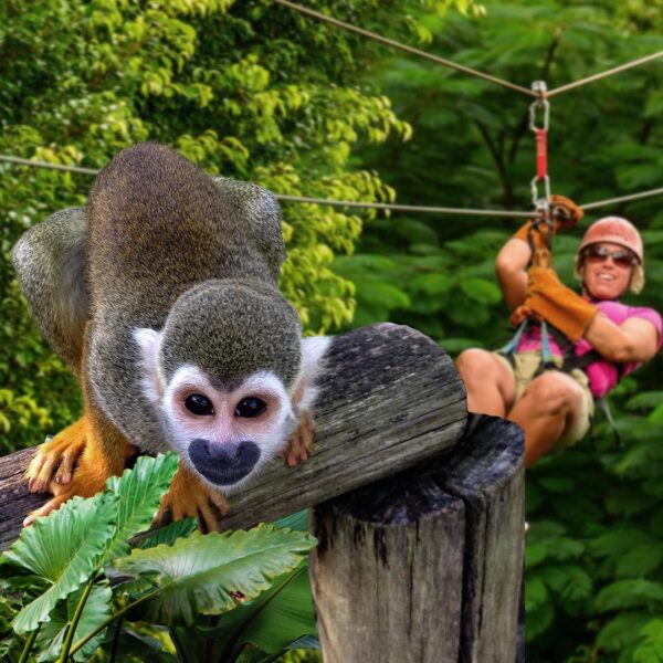 EXCURSIONS – Your Tour Maker
